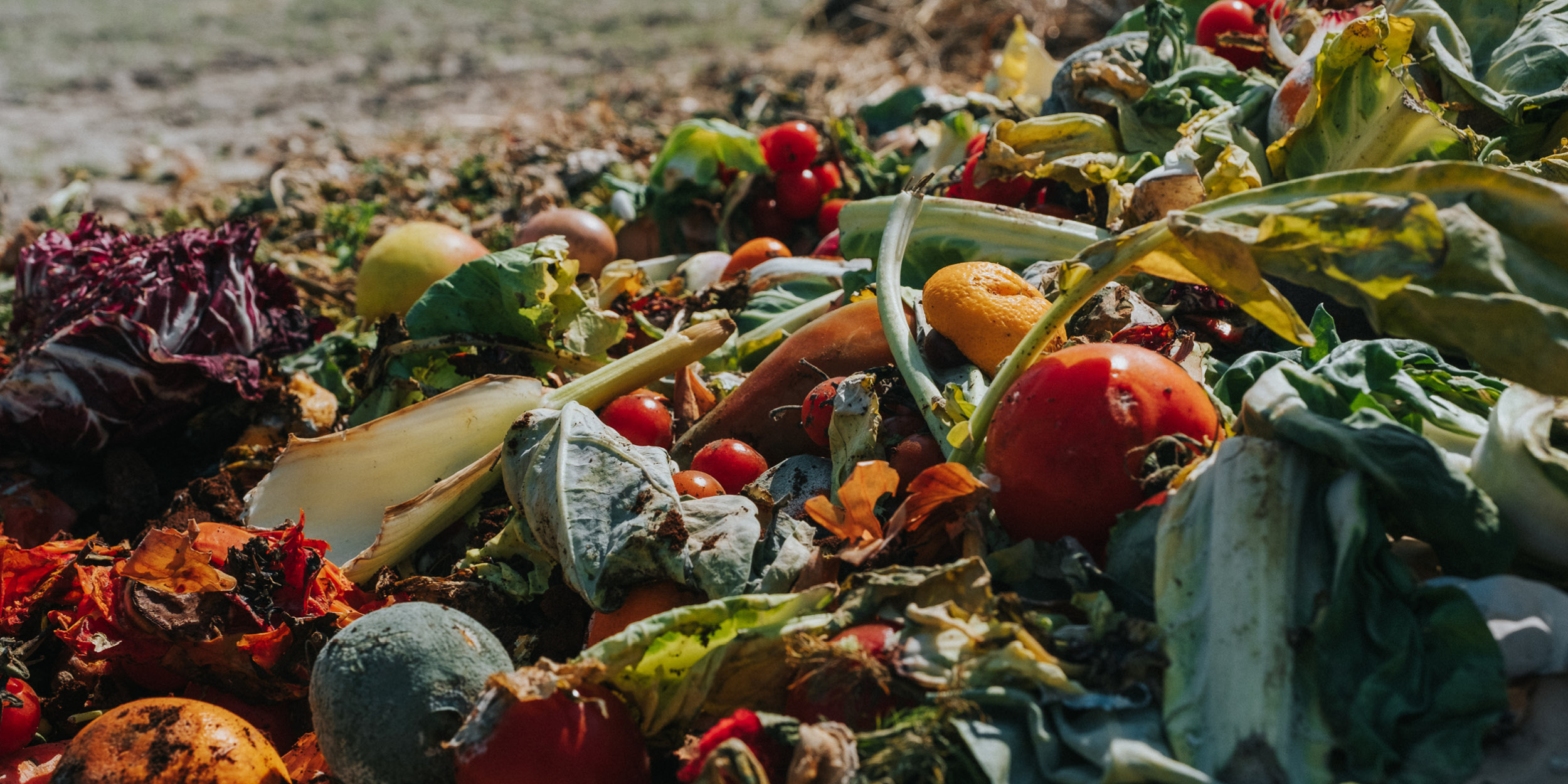 [Composting for dummies] Be informed – handle bio-waste responsibly